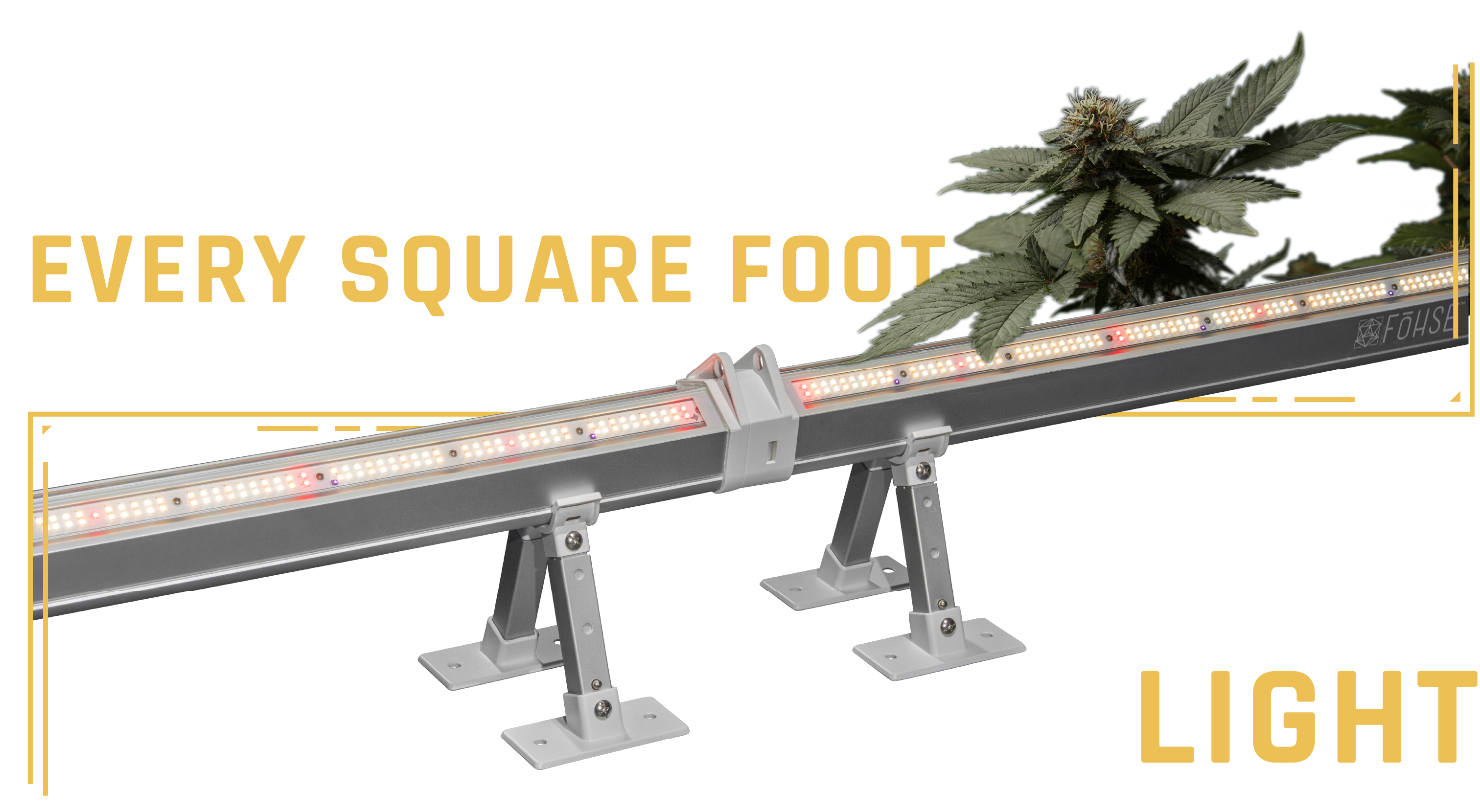 LED Light by Fohse | Under Canopy Light