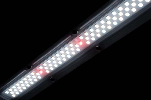 Pisces Home Grow Light by Fohse | Premium LED Lighting