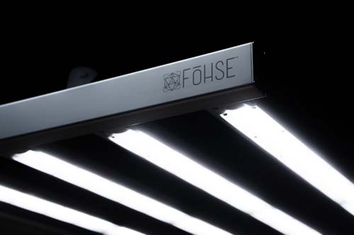 Pisces Home Grow Light by Fohse | Premium LED Lighting