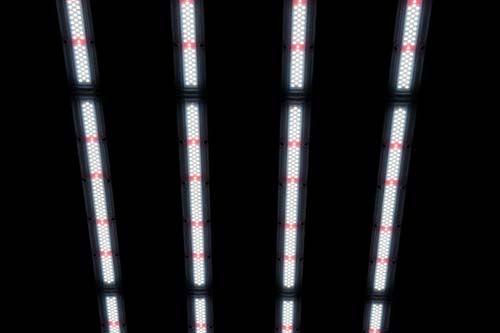 Pisces Home Grow Light by Fohse | Premium LED Lighting