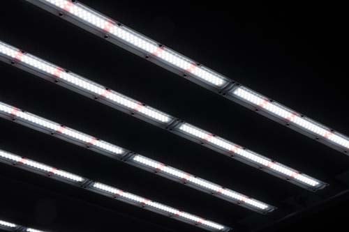 Pisces Home Grow Light by Fohse | Premium LED Lighting