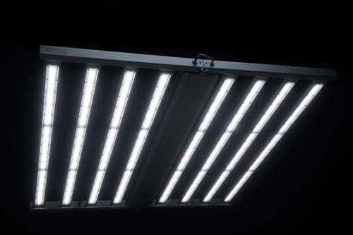 Pisces Home Grow Light by Fohse | Premium LED Lighting