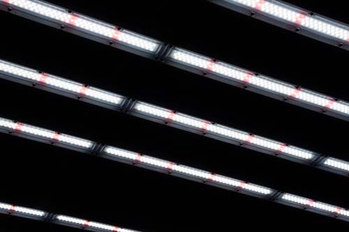Pisces Home Grow Light by Fohse | Premium LED Lighting