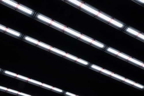 Pisces Home Grow Light by Fohse | Premium LED Lighting
